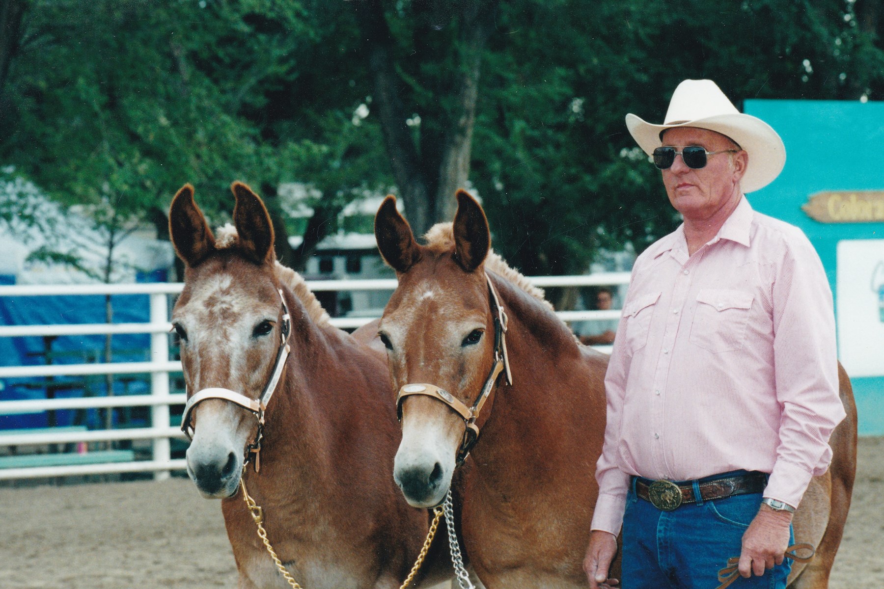 John Zwier Obituary - Centennial, CO