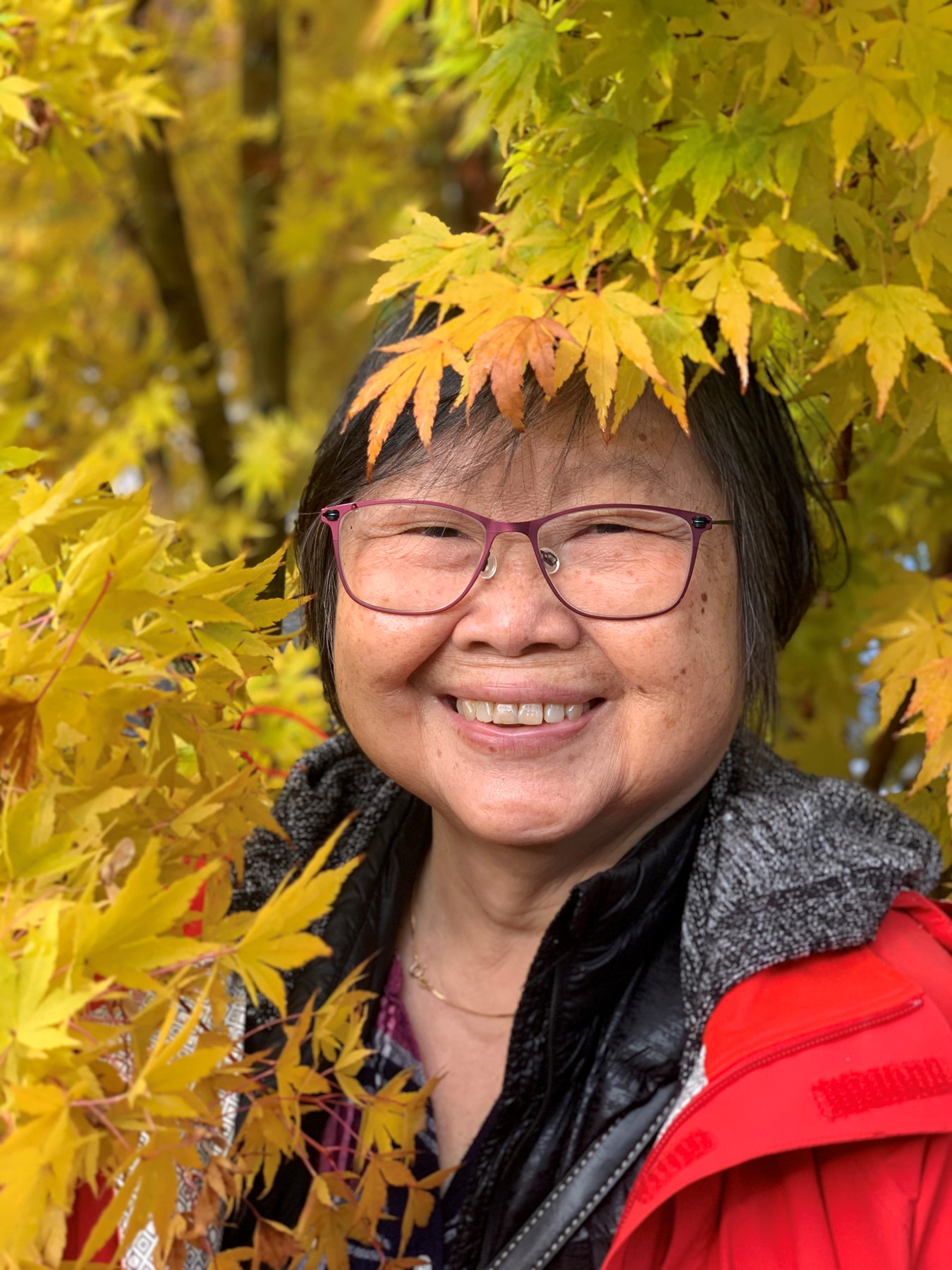 Stella Fong Obituary - Boston, MA