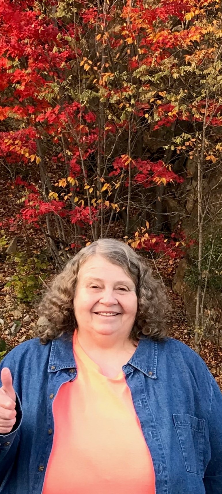 Marlyn Jones Obituary - Madison Heights, VA