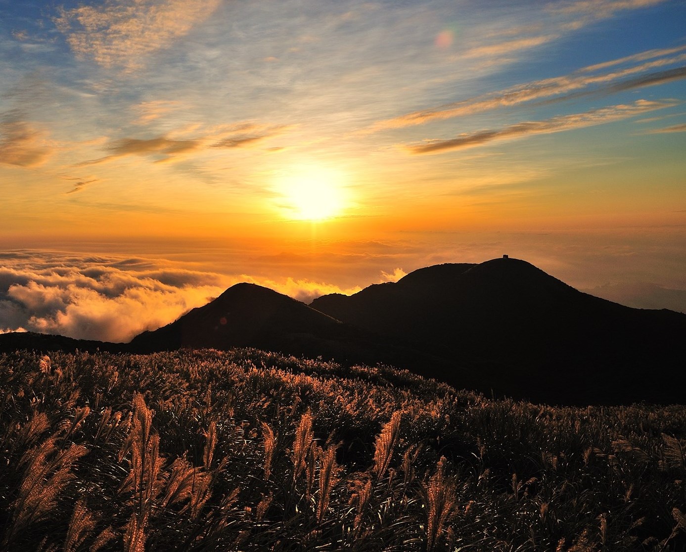 Nancy Polaski Obituary - Fredericksburg, VA