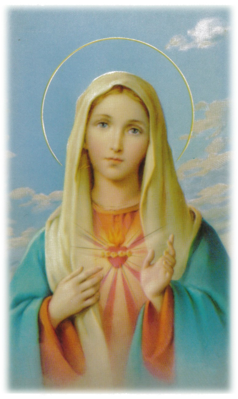 Cynthia Cote Obituary - St. Clair Shores, MI