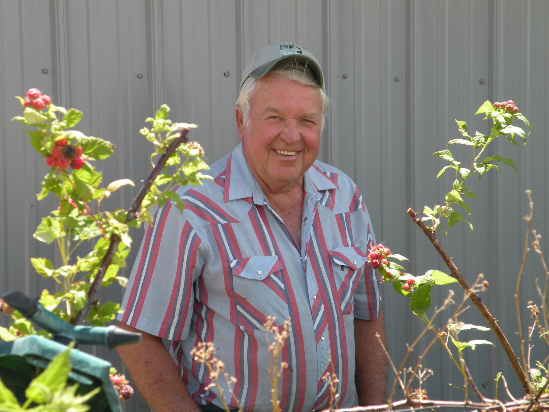 Wallace J. Ellyson Obituary - Grand Junction, CO