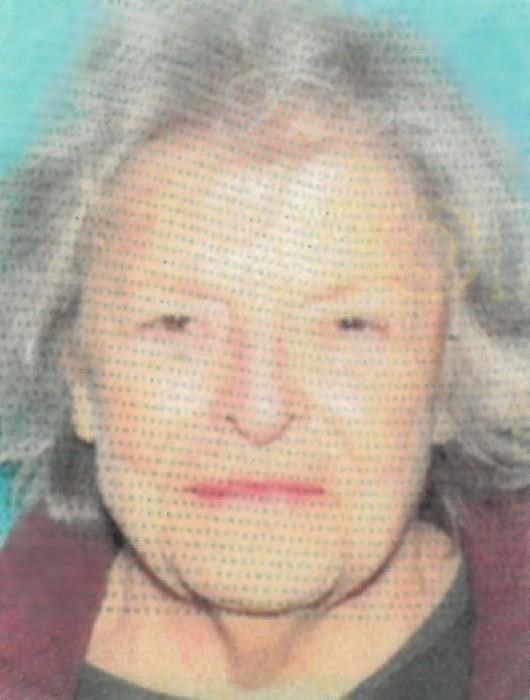 Susan Mayo Obituary - Coon Rapids, MN