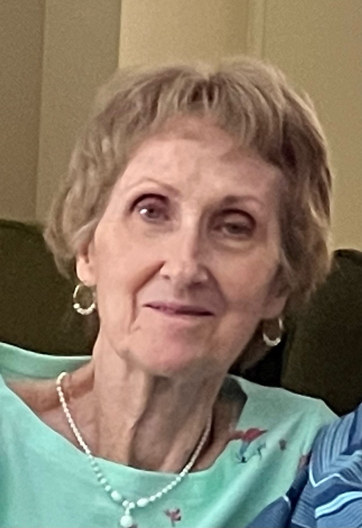 Mary Ann Cheney Obituary - Williamsville, NY