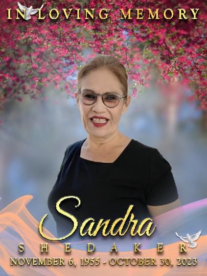 Sandra A. Shedaker Obituary - Tamarac, FL