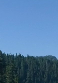 Dr John L Thompson Obituary Seattle Wa