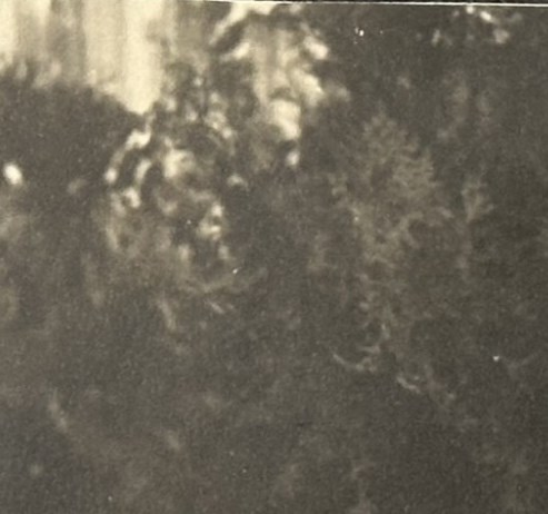 Freda Ford Obituary - Bartlett, TN Freda Ford Obituary - Bartlett, TN