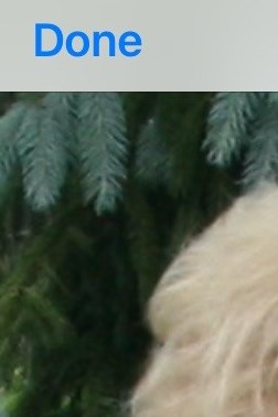 Elizabeth Hough Obituary - Bourne, MA Elizabeth Hough Obituary - Bourne, MA