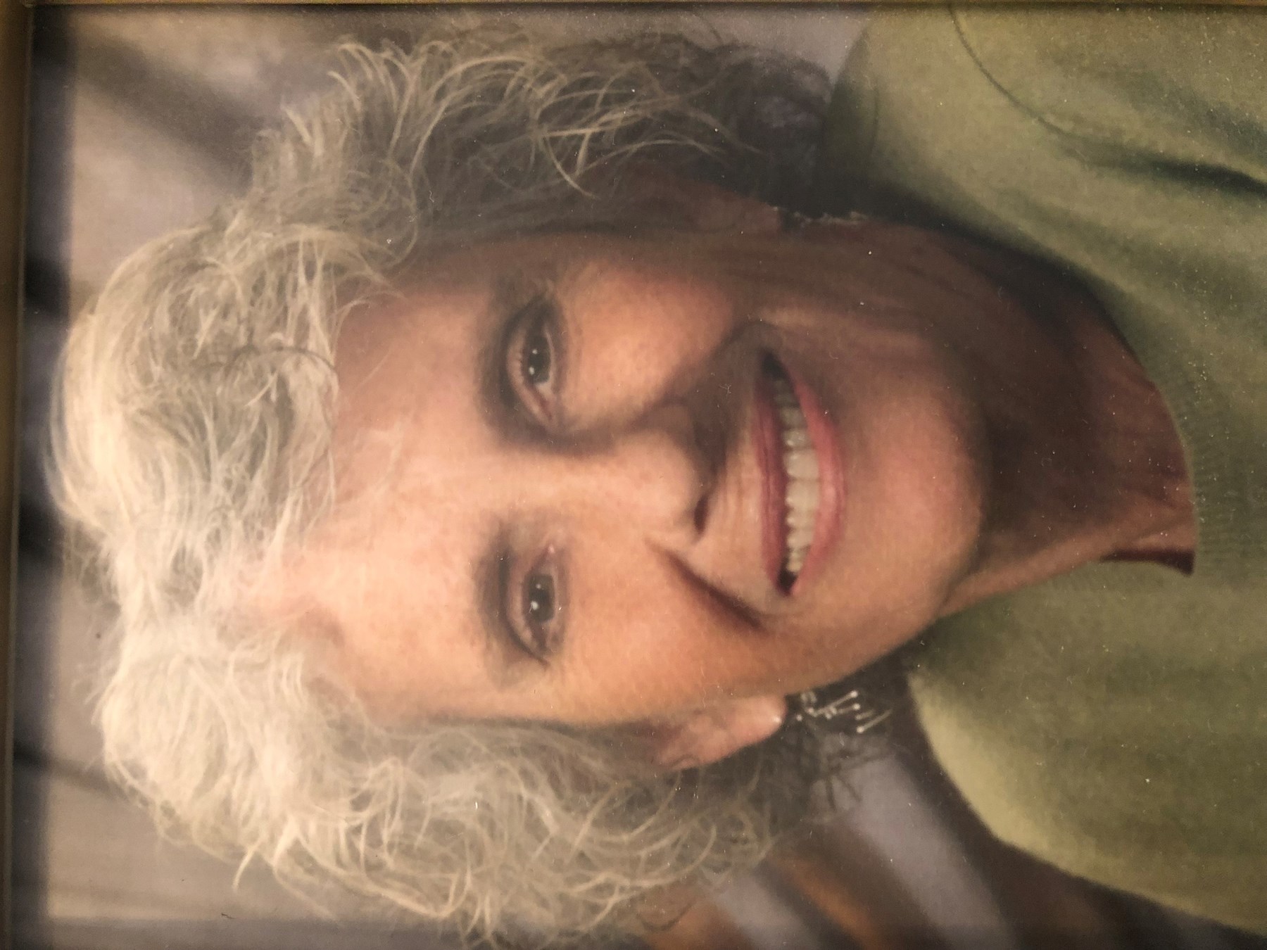 Susan Flint Obituary - Sarasota, FL