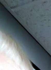 Ronald Honeycutt Obituary - Dayton, OH Ronald Honeycutt Obituary - Dayton, OH