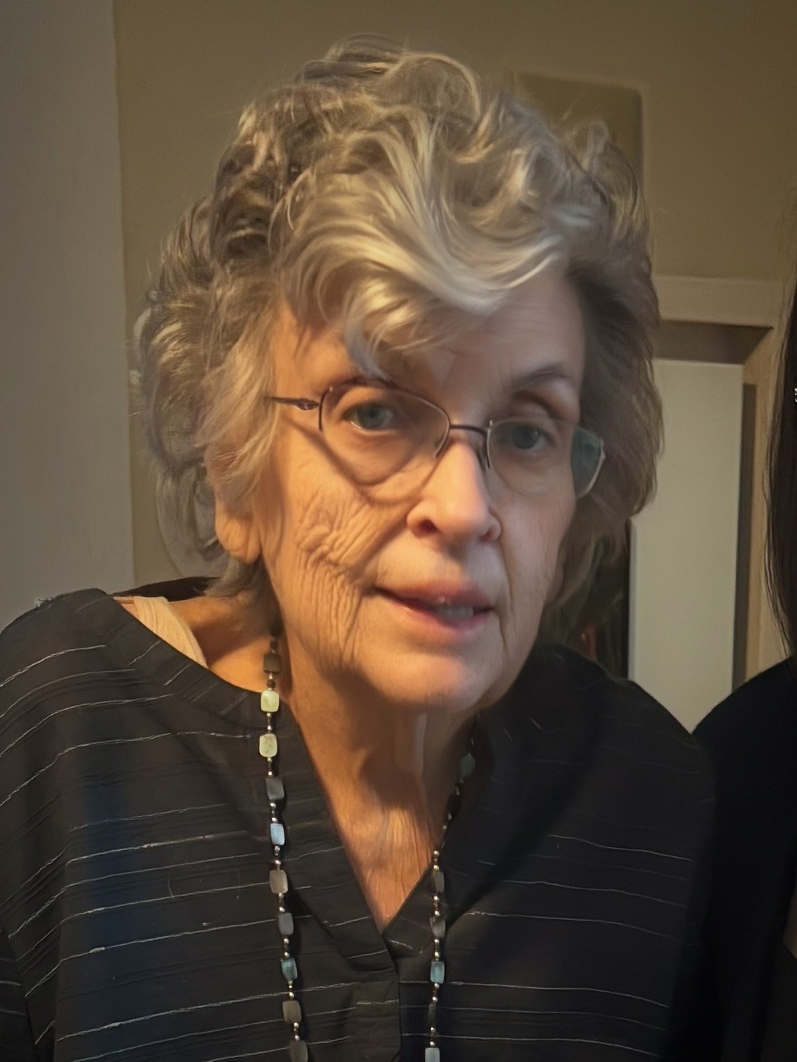 Ann Stevens Obituary - Portland, OR