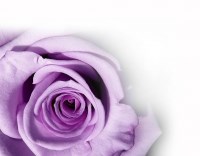 Marie Clemens Obituary - Seattle, WA