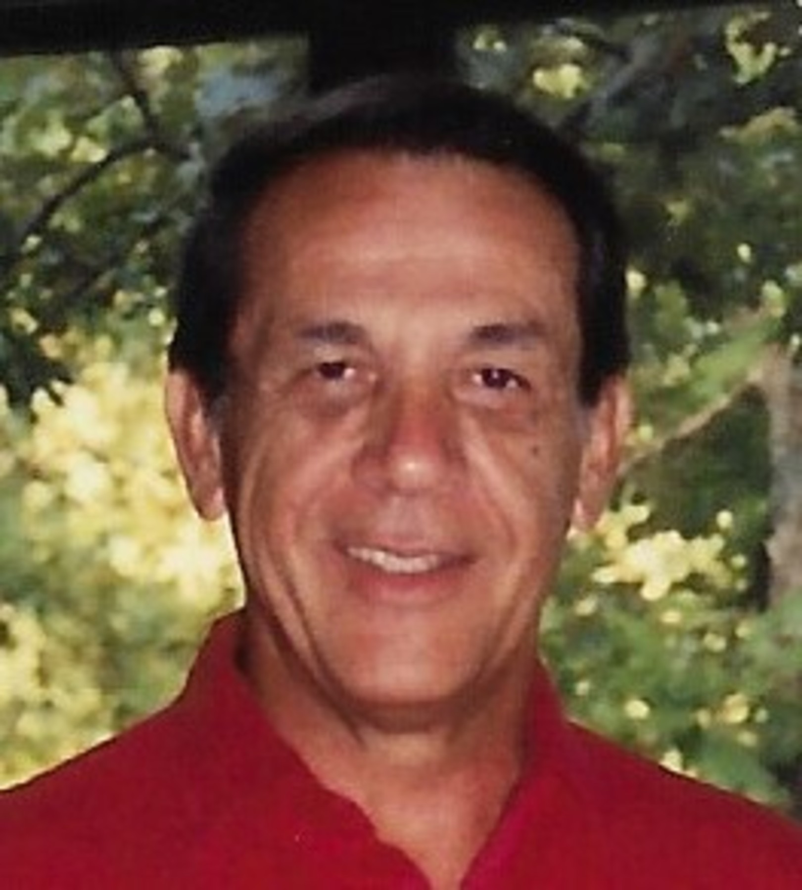 Mario Gaia Obituary - St. Louis, MO