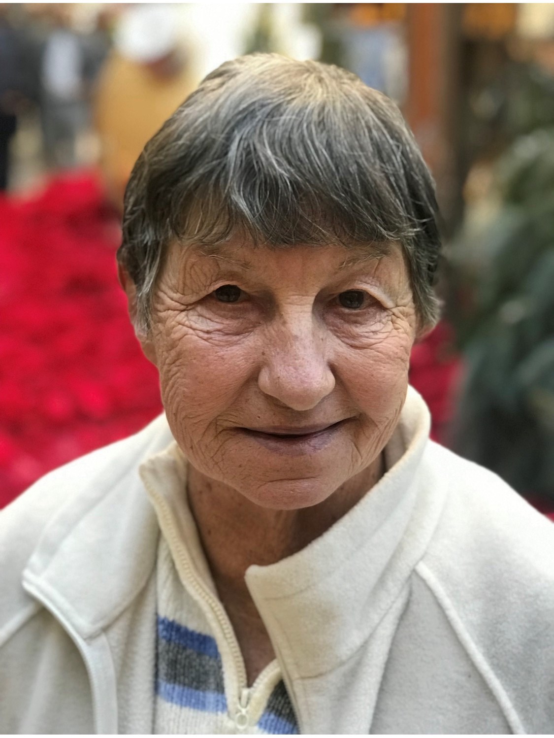 Carol Louise Smith Obituary - Las Vegas, NV