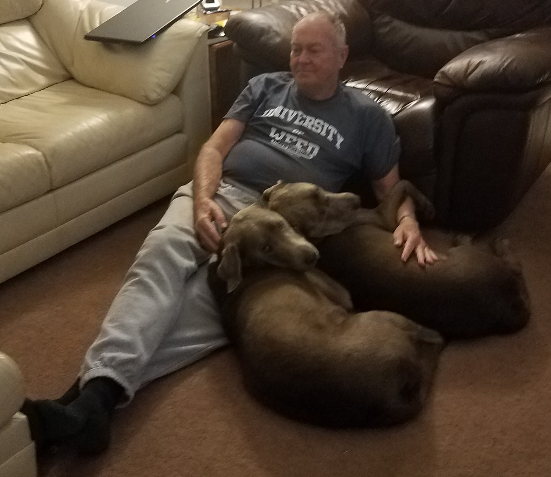 Kenneth Morris Obituary - Lincoln, CA