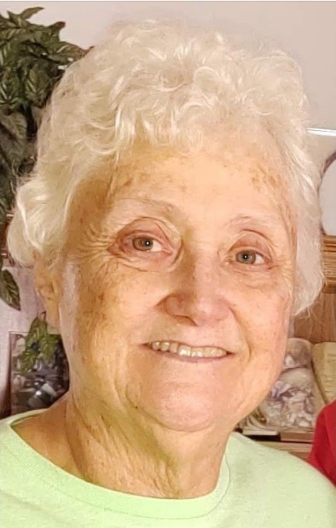 Karen Edwards Obituary - Venice, FL