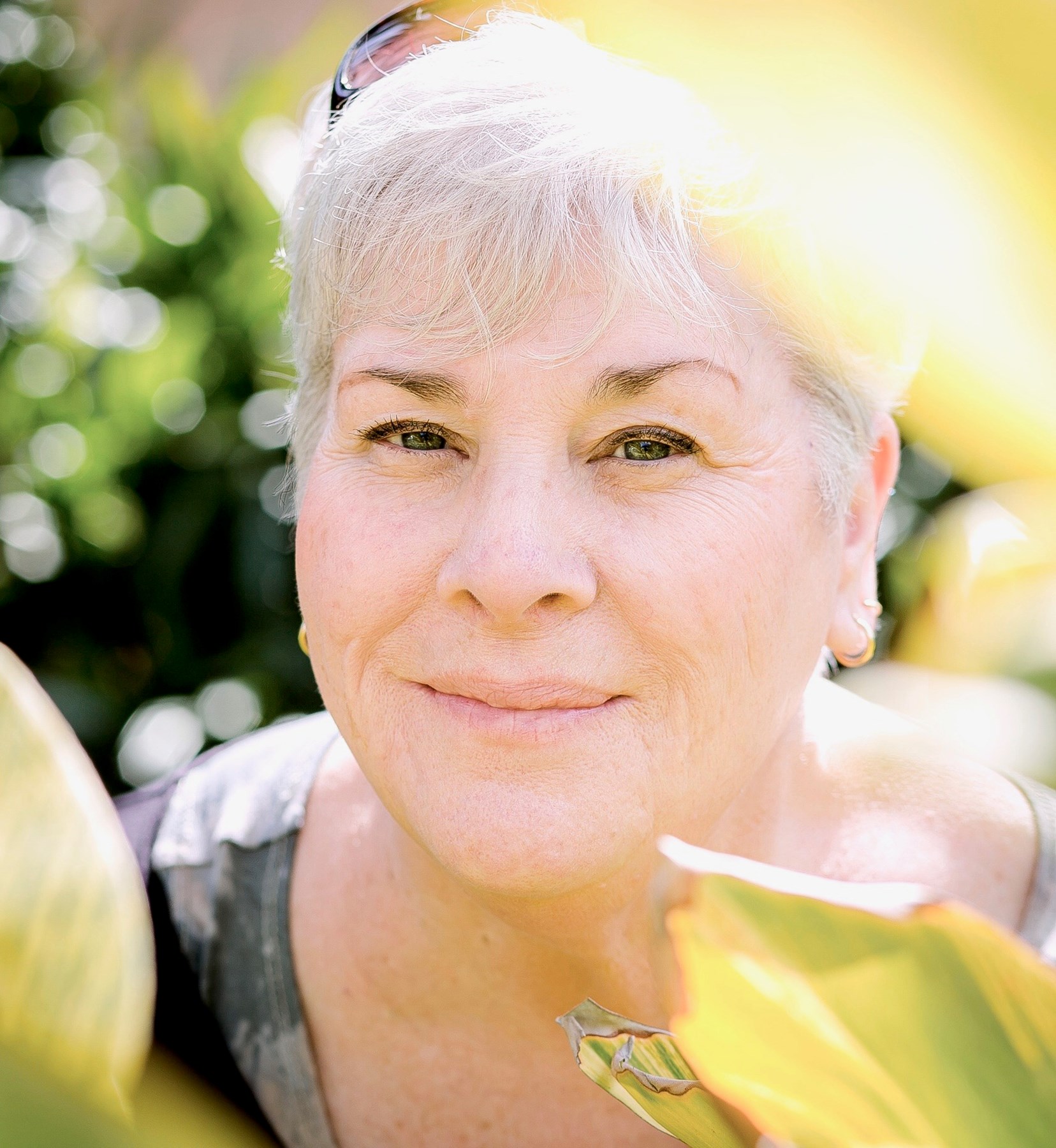 Amy Lefkoff Obituary - Sarasota, FL