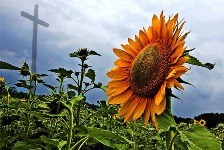 Michael Sutton, Obituary - Bartlett, TN