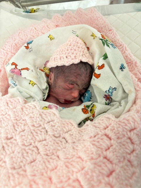 Baby Roschel Annabeth Martinez Obituary - La Feria, TX