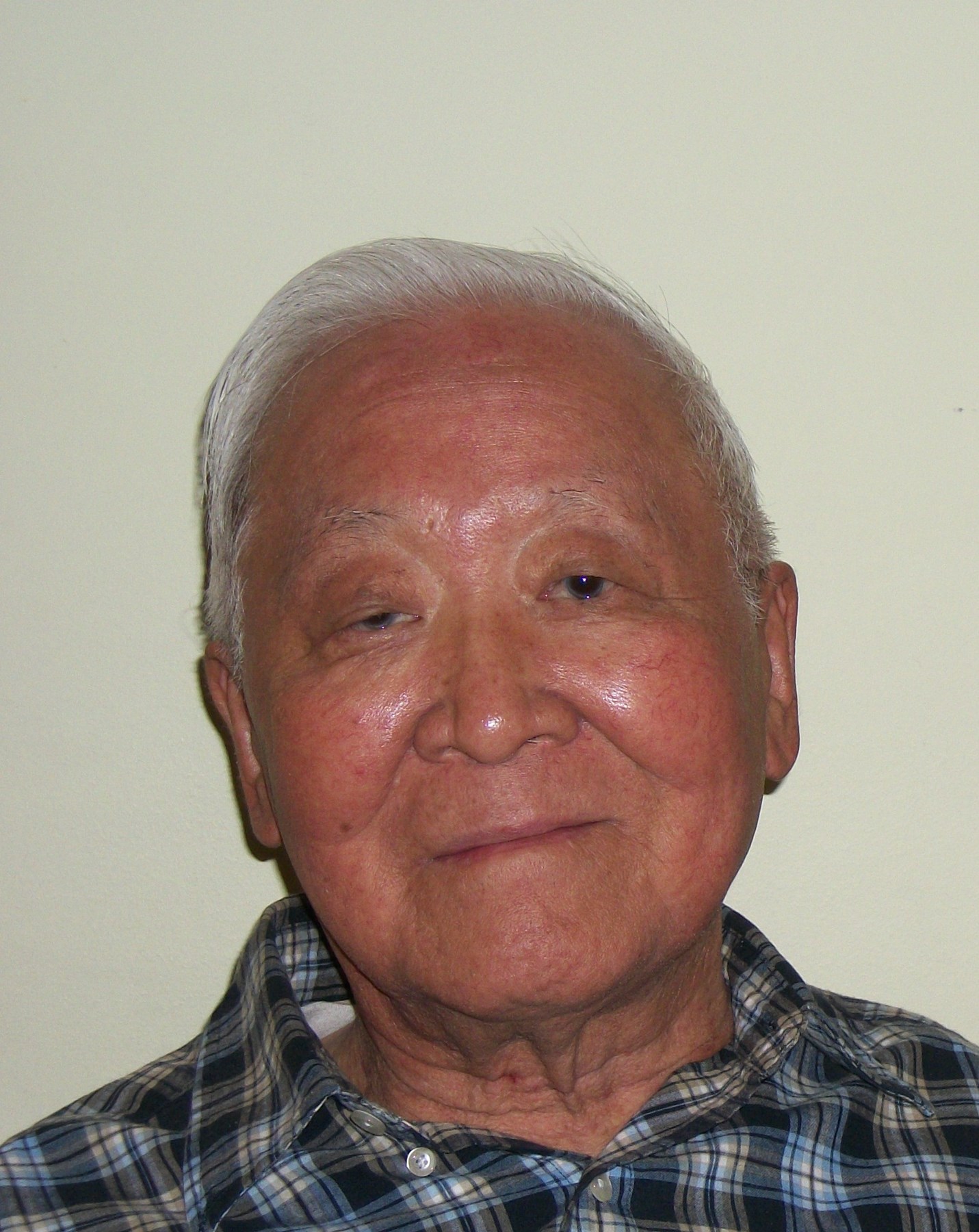 Peter Song Obituary - Oak Lawn, IL