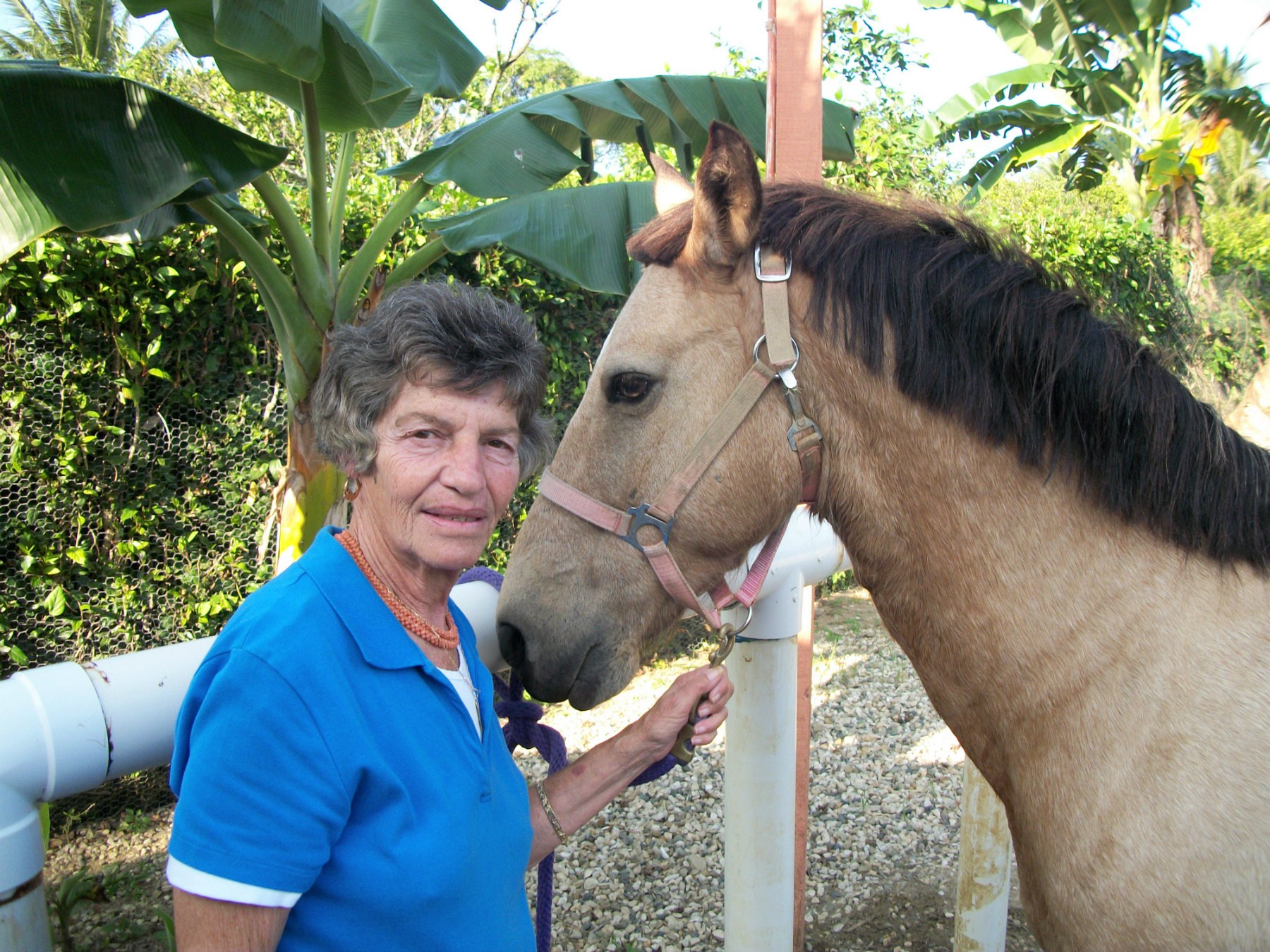 Barbara Ann Greenberg Obituary - Boca Raton, FL