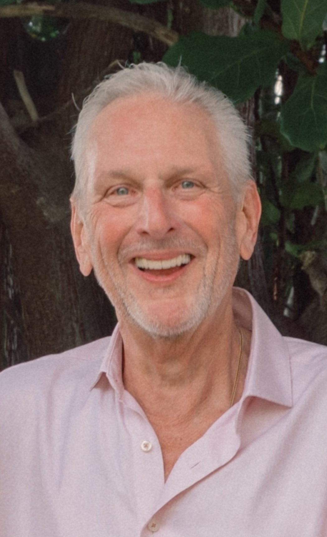 Dennis Drescher Obituary - Wilmette, IL