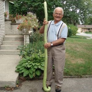 Antonio Polifroni Obituary - Guelph, ON