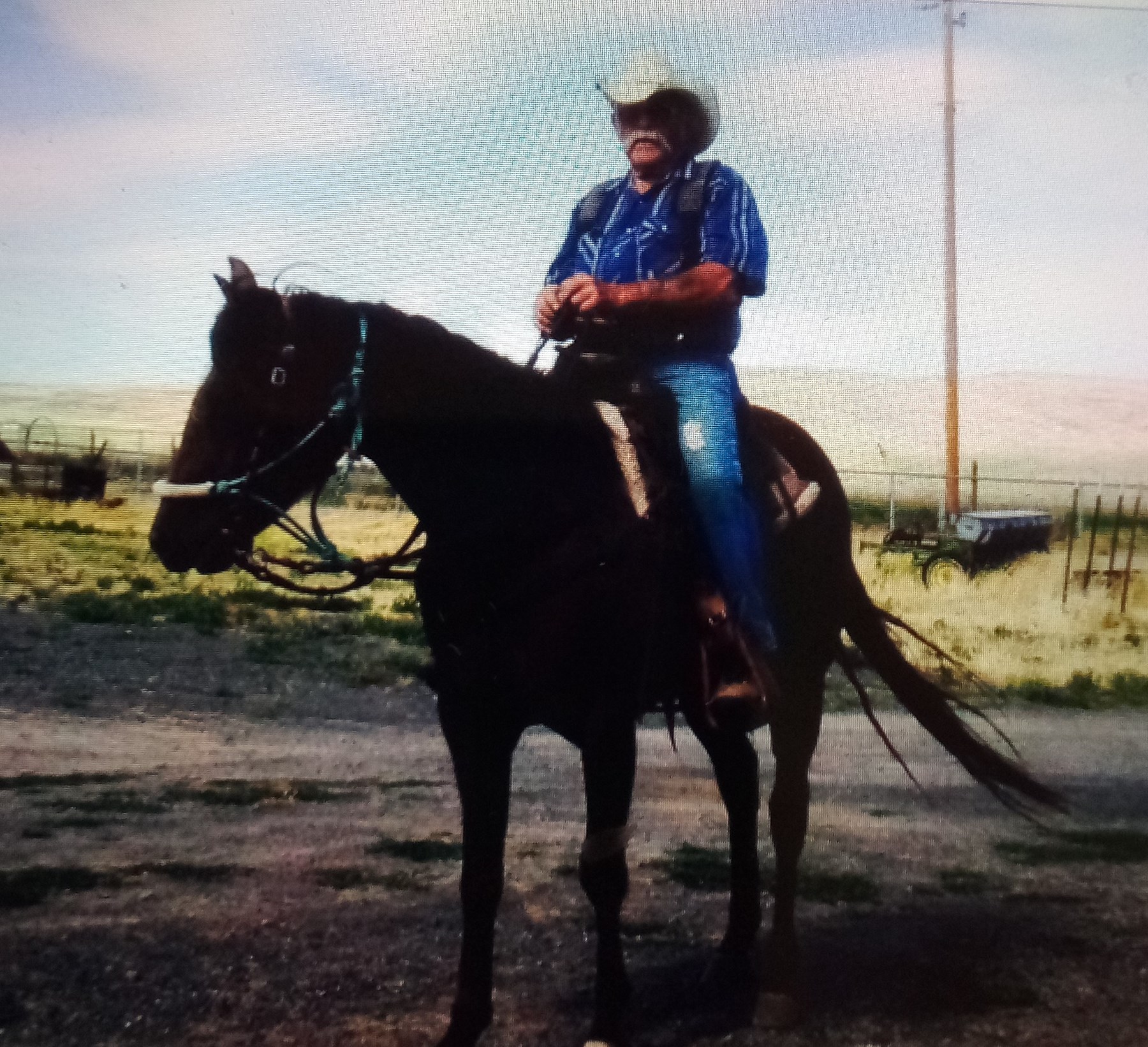 Donald Selig Obituary - Yakima, WA