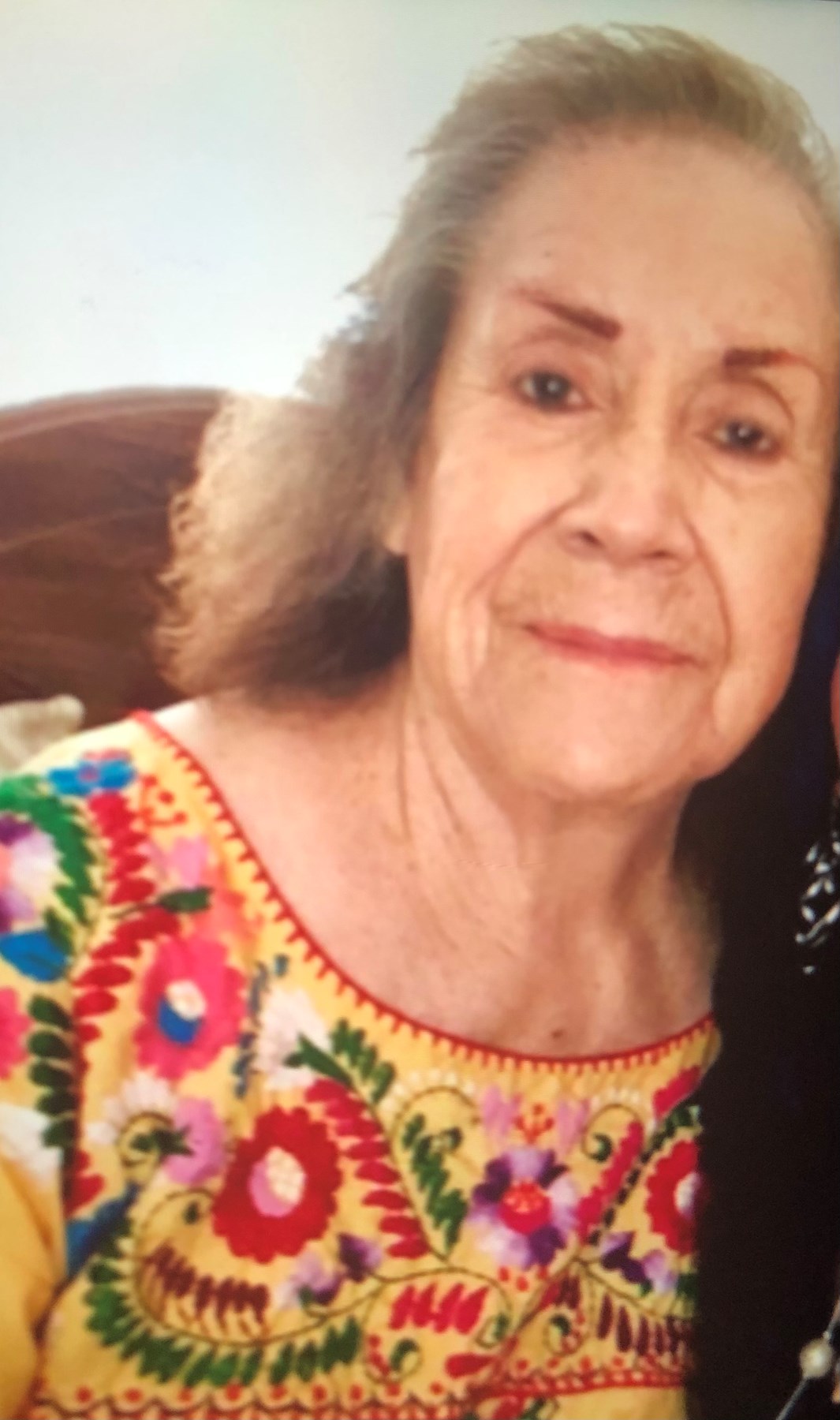 Josefina Rivera's Instagram, Twitter & Facebook on IDCrawl