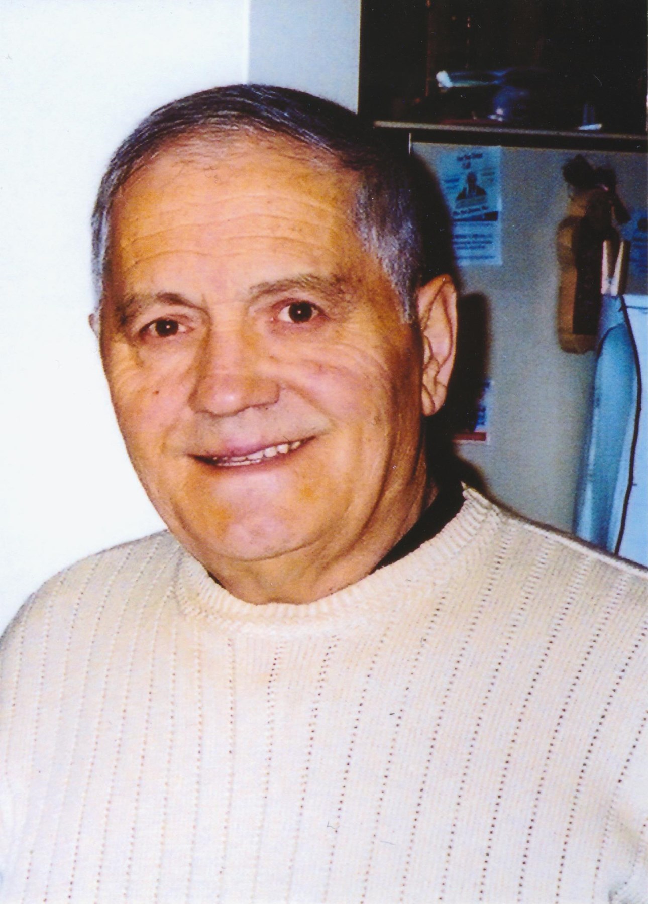 Michele Monaco Obituary - Dundas, ON