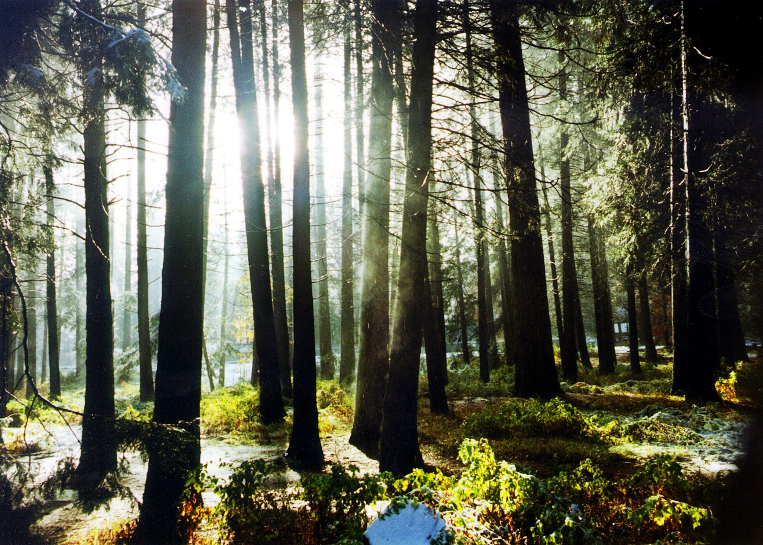 Eric Lee Stiller Obituary - Tigard, OR
