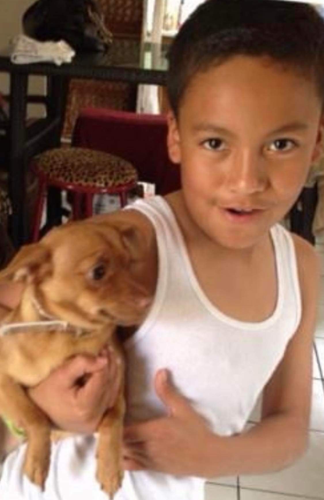 Jose Piceno's Instagram, Twitter & Facebook on IDCrawl