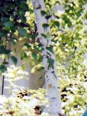Mary Fritch Obituary - Fresno, CA Mary Fritch Obituary - Fresno, CA