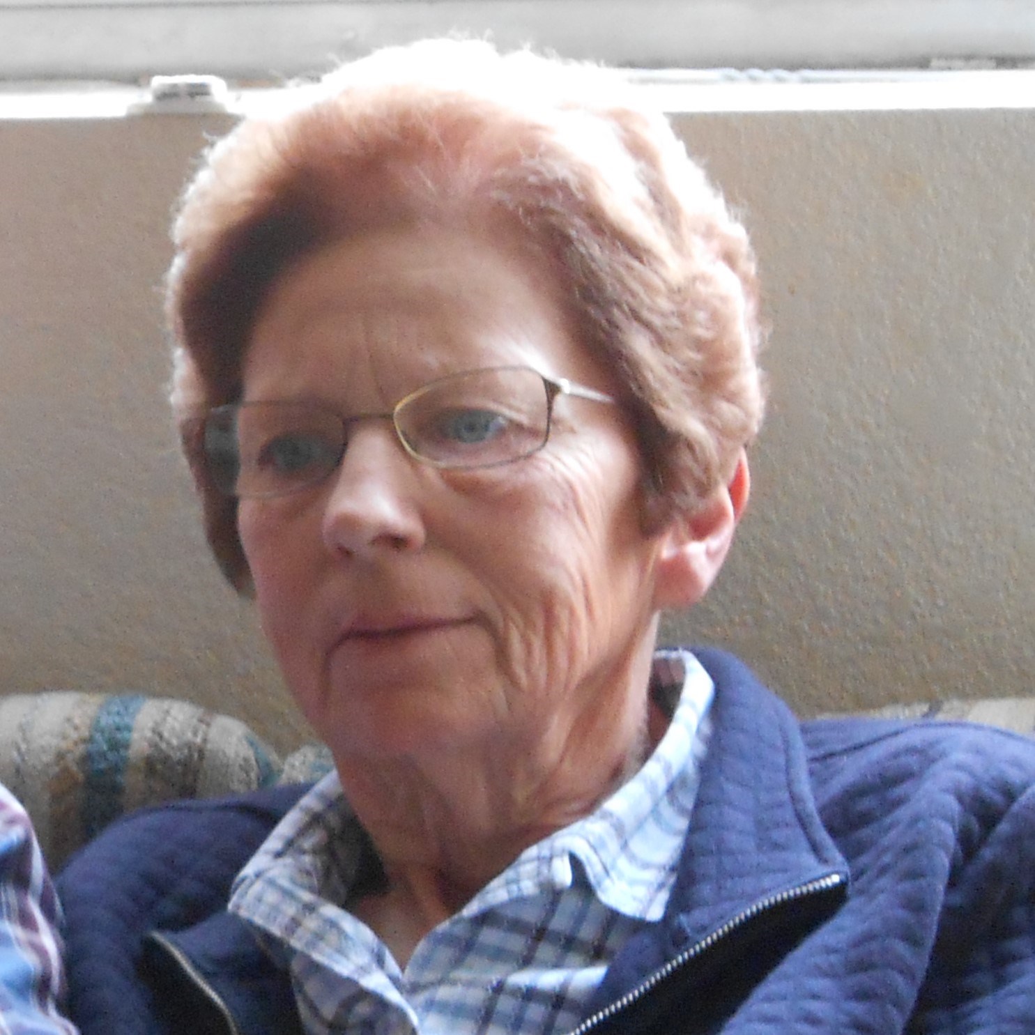 Susan Lynn Sathoff Obituary - Bartonville, IL