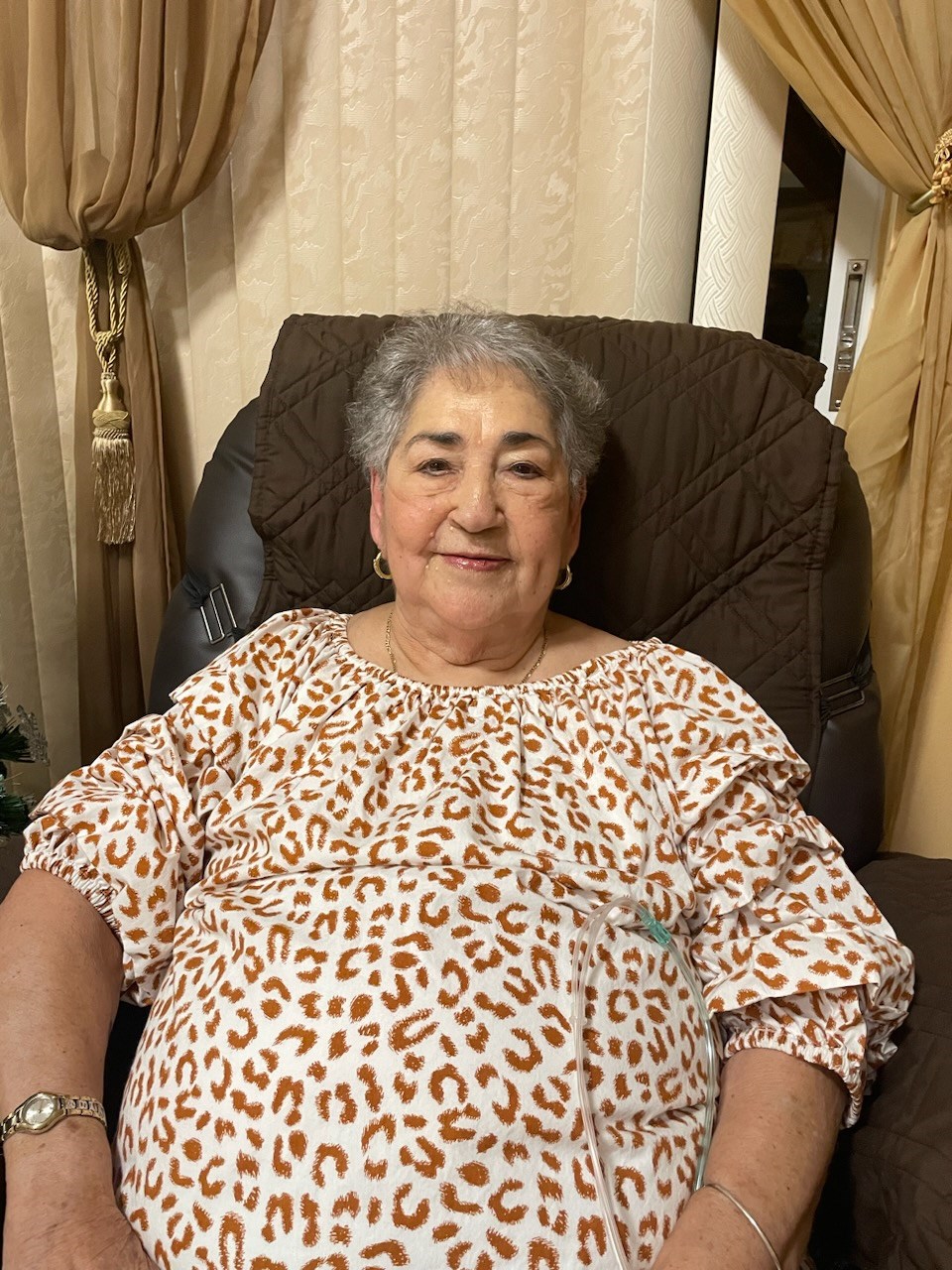 Josefa Borrego Pinero Obituary - Naranja, FL