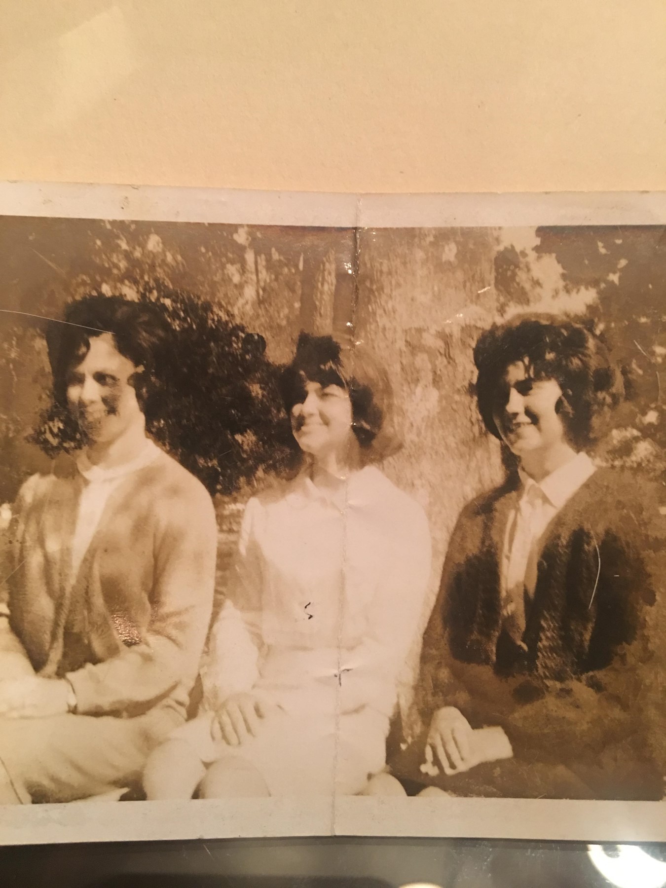 Alyson Jacobsen's Instagram, Twitter & Facebook on IDCrawl