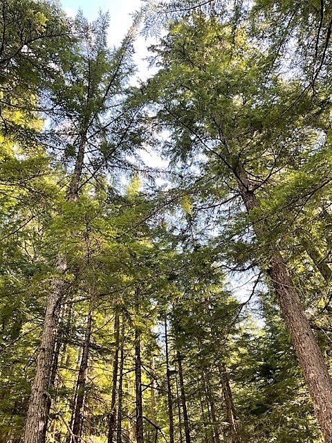 Michael Popowski Obituary - Vancouver, BC