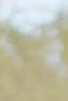 Isidro Cruz Obituary - Mission, TX Isidro Cruz Obituary - Mission, TX