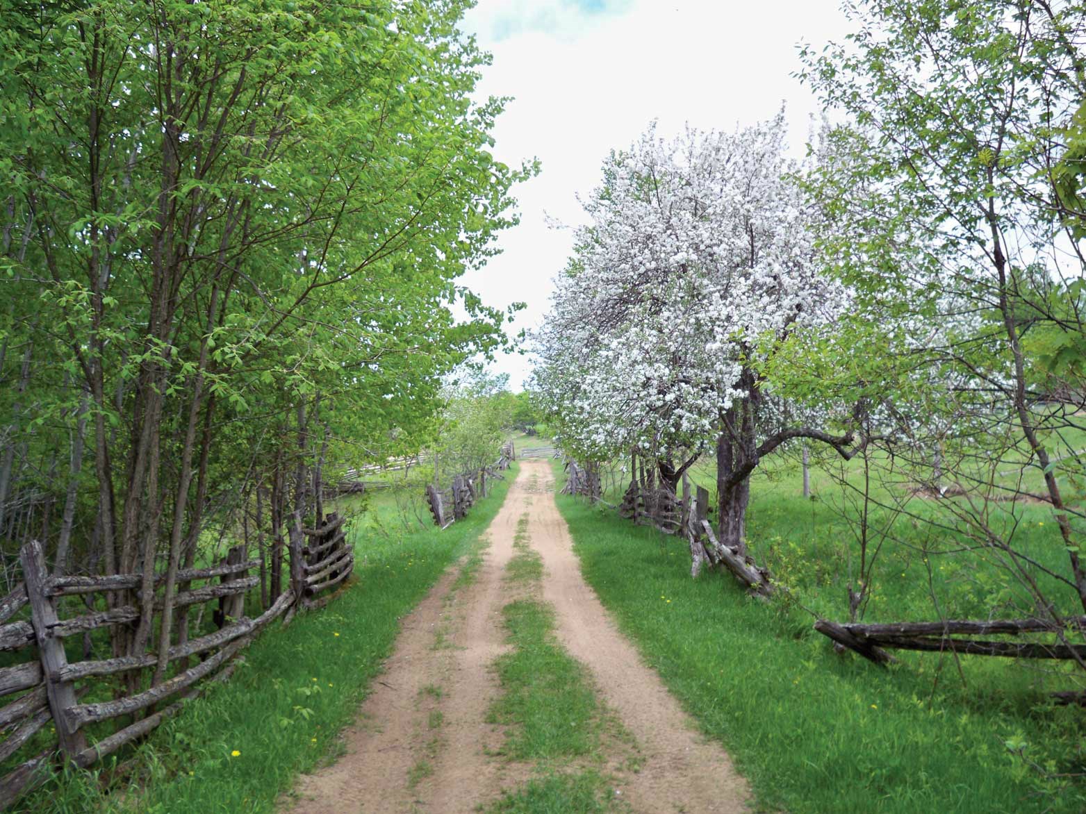 John Counce Obituary - Corinth, MS