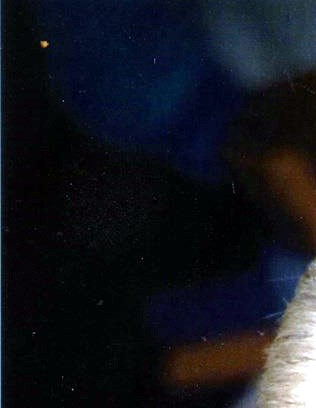 Joseph August Vanek Obituary Kingwood Tx