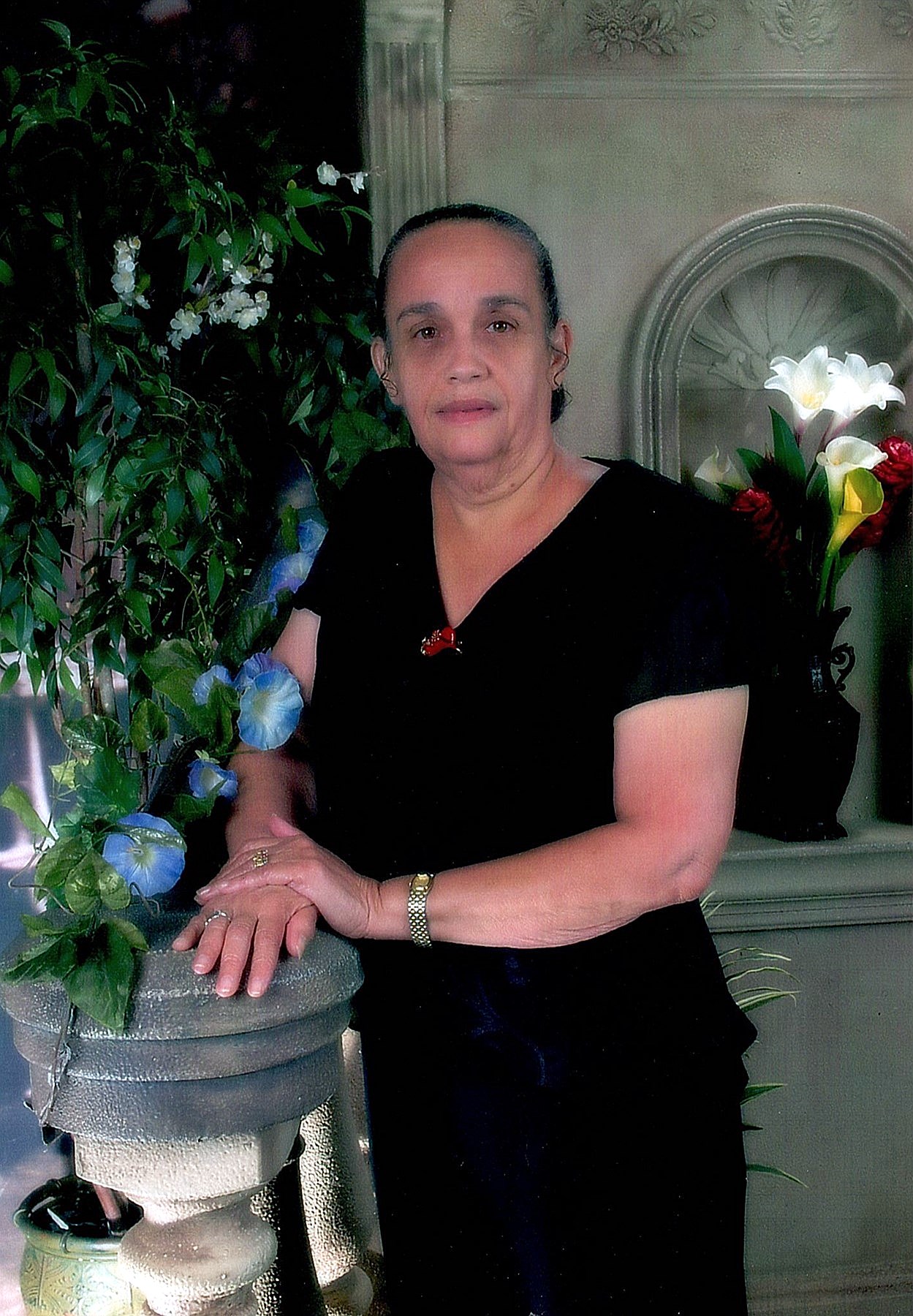 Noemi Perez Obituary - Tampa, FL