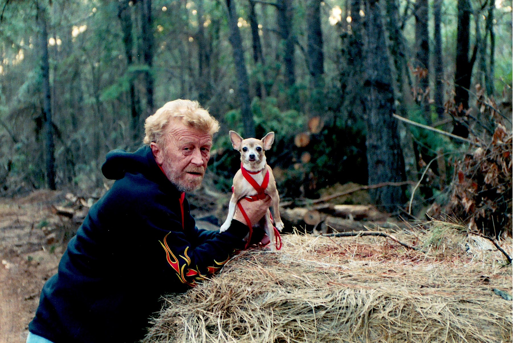 Michael Worthy Obituary - Arlington, TX