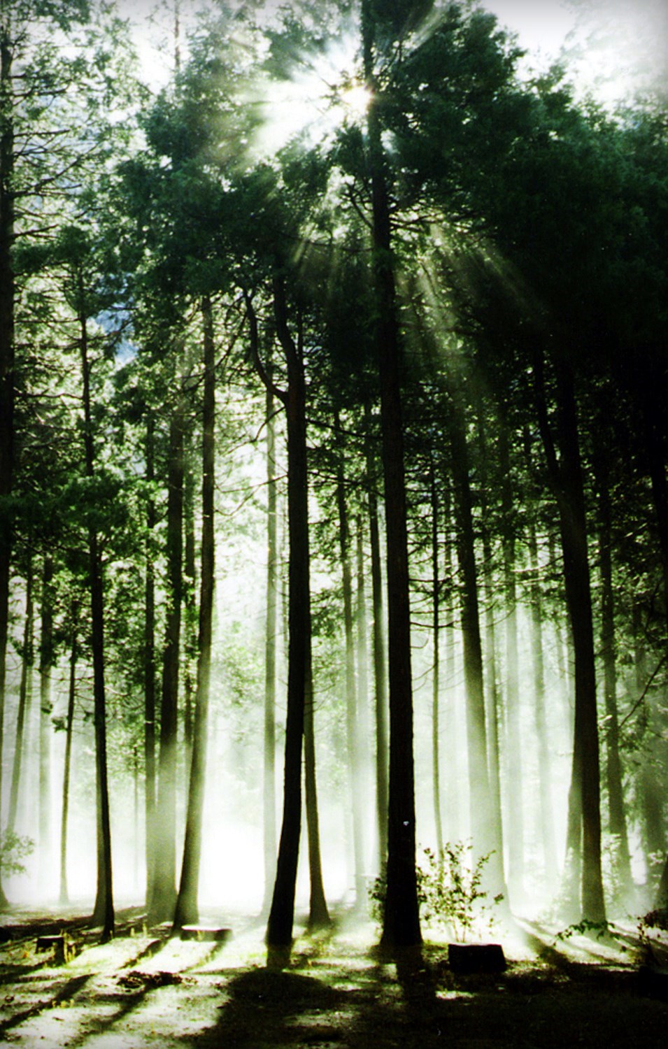 Elie Merritt Obituary - Mobile, AL