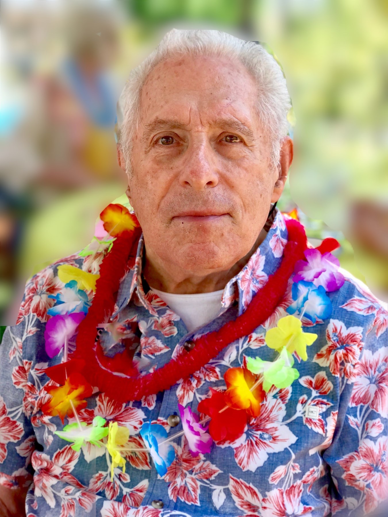 Louis DeSimone Obituary - Torrance, CA