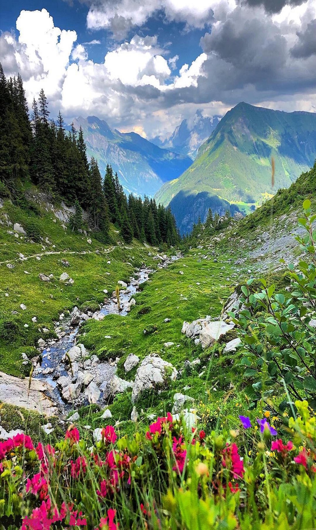 Jesse Cloyd Obituary - Salem, OR