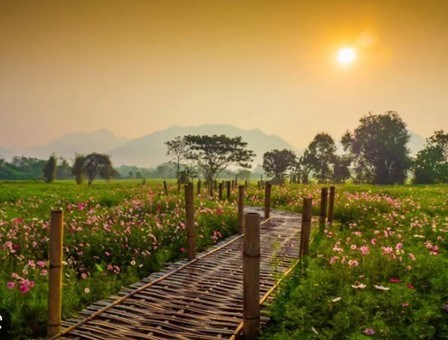 Timothy L Nye Sr. Obituary - Las Vegas, NV