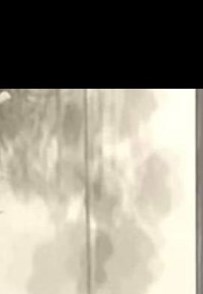Wendy Bordelon Obituary Chalmette La