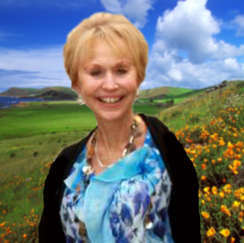 Sandy Smith-Bevins Obituary - Las Vegas, NV