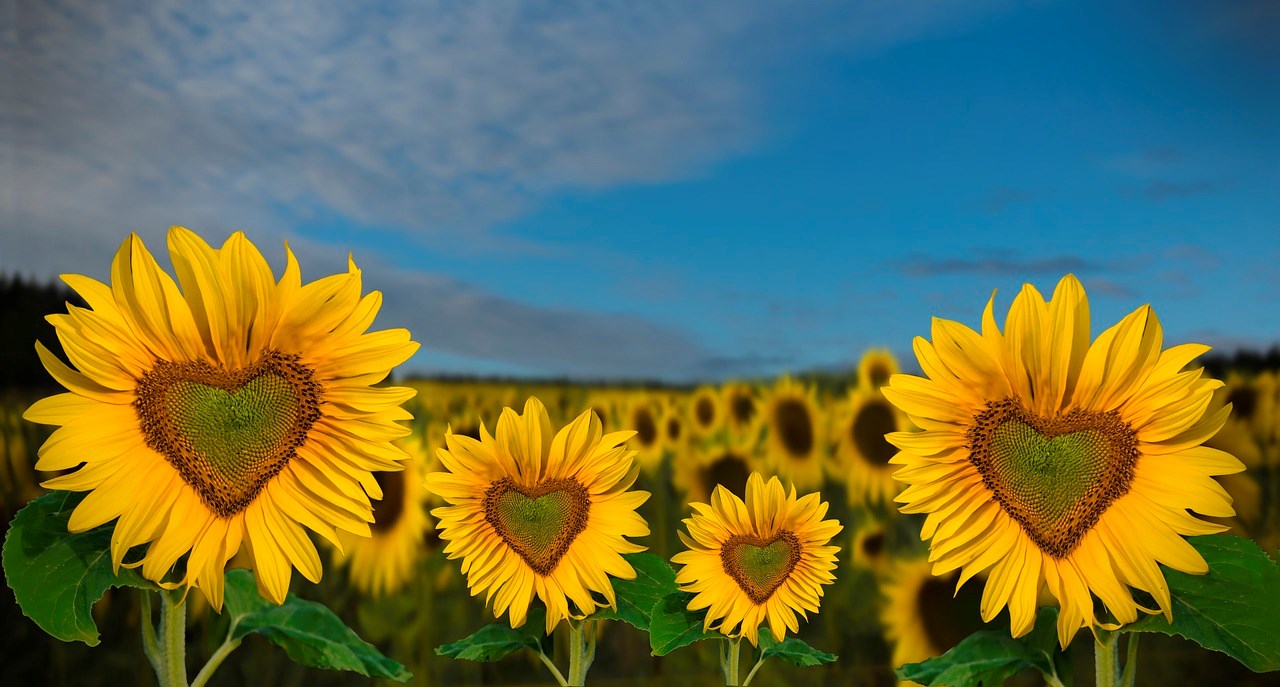 Reichelle Ramirez Obituary - Oxnard, CA