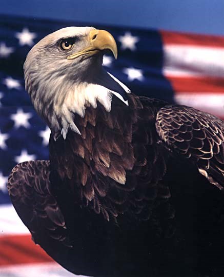 James Lewis Obituary - Renton, WA